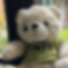 Coding_Bear • Penpal-Gate